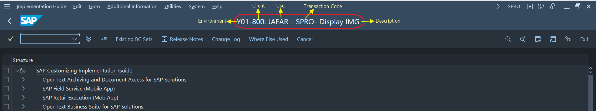 SAP GUI Title Bar Customization - Jafar.In
